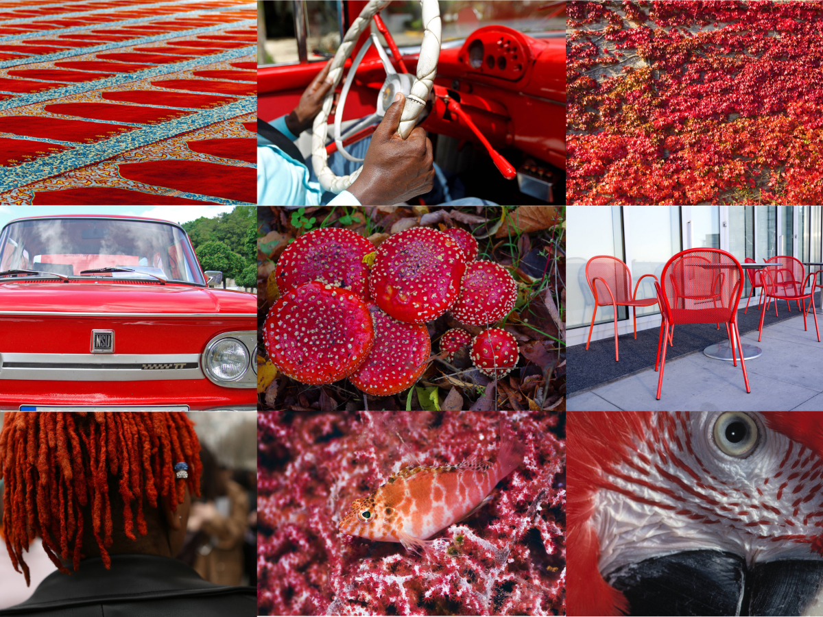 Pixels, The Building Blocks of Digital Images