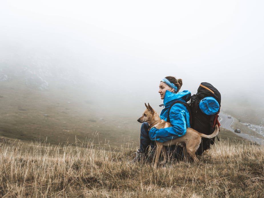 Valentine's Day Marketing Images and Cards