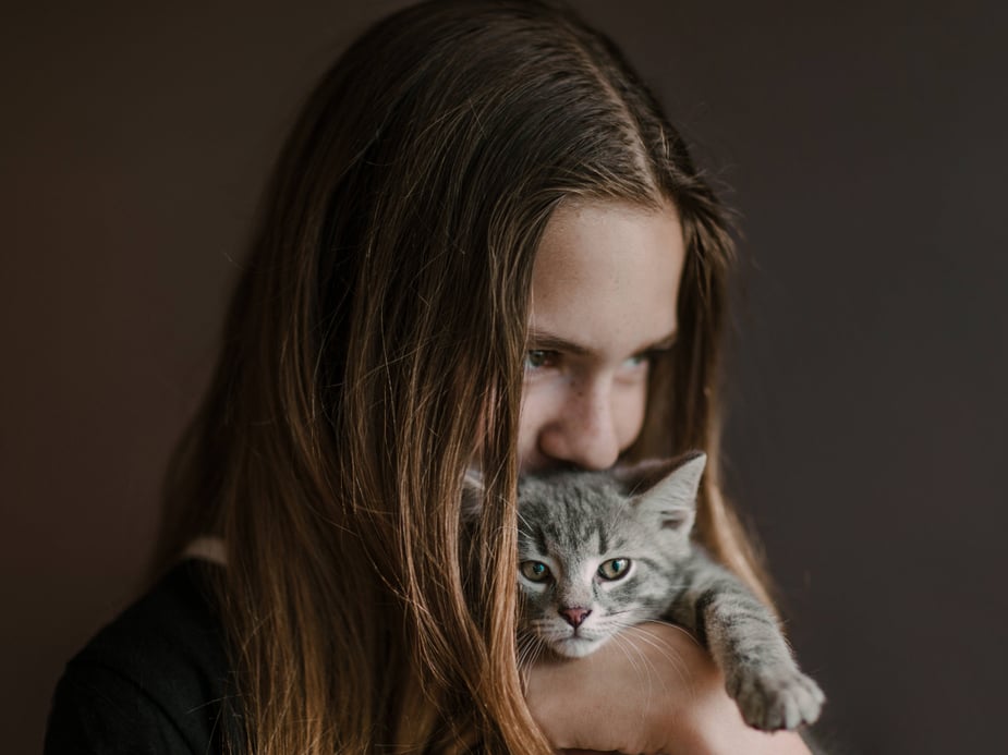 Valentine's Day Marketing Images and Cards